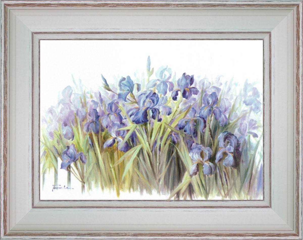 Brassée d'iris - Tableau Deco Fleurs