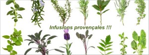 Infusions ou tisanes aux herbes de Provence - saison 2 | En Provence